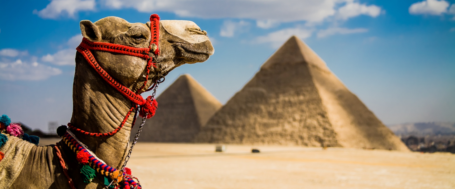 Αίγυπτος - Red Elephant - Exotic Travel Specialists