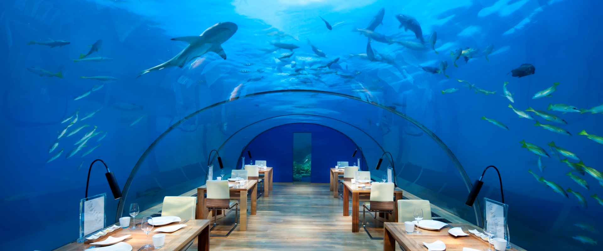 Μαλδίβες - Red Elephant - Exotic Travel Specialists